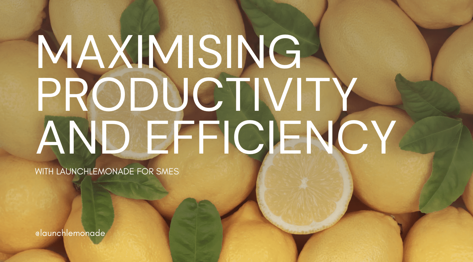 Maximising Productivity and Efficiency with LaunchLemonade For SMEs ...